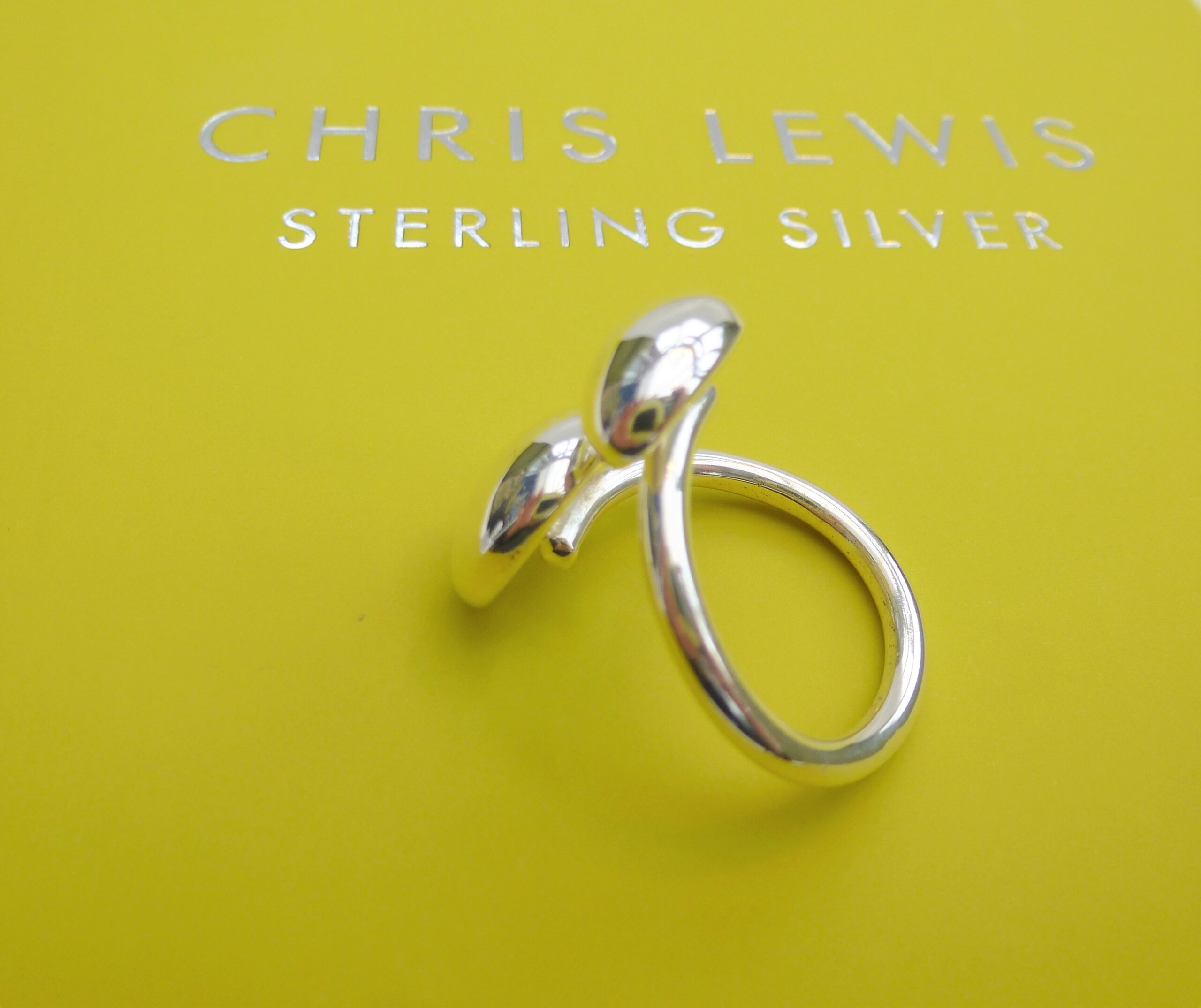 Polished Pebble Ring by Chris Lewis