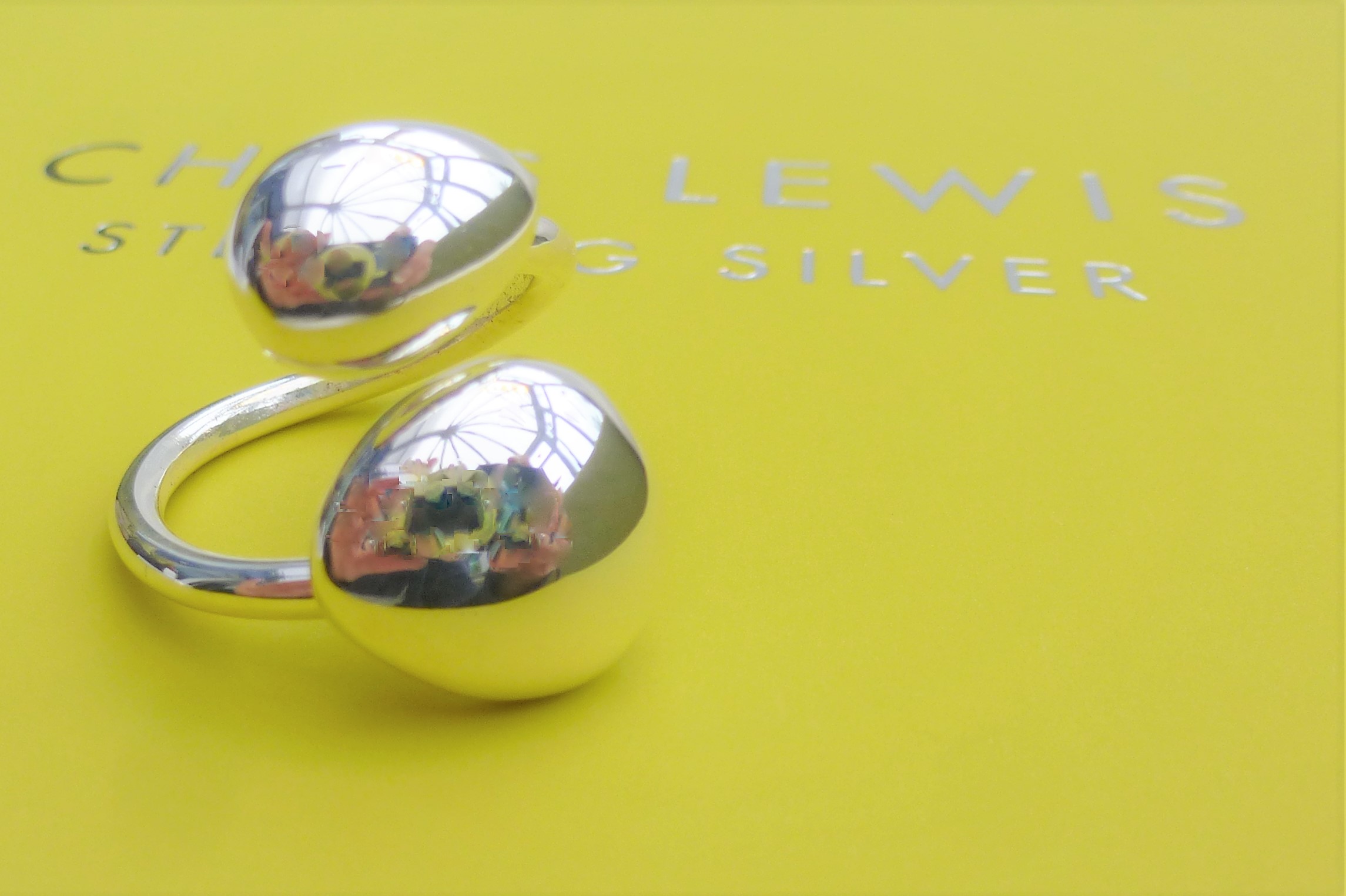 Polished Pebble Ring by Chris Lewis